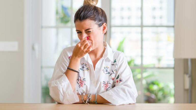 6 Reasons Why Your Central AC Emits Bad Smell - Air Pros USA