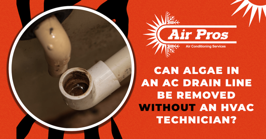 Can Algae in an AC Drain Line Be Removed Without an HVAC Technician ...